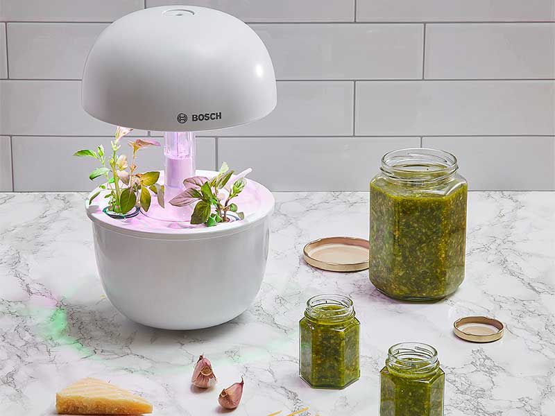Pesto avec basilic maison alla Genovese | Bosch Electroménager