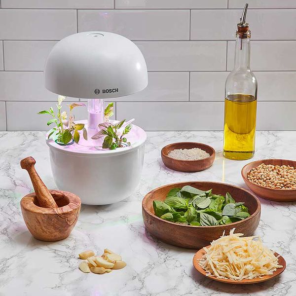 Pesto avec basilic maison alla Genovese | Bosch Electroménager